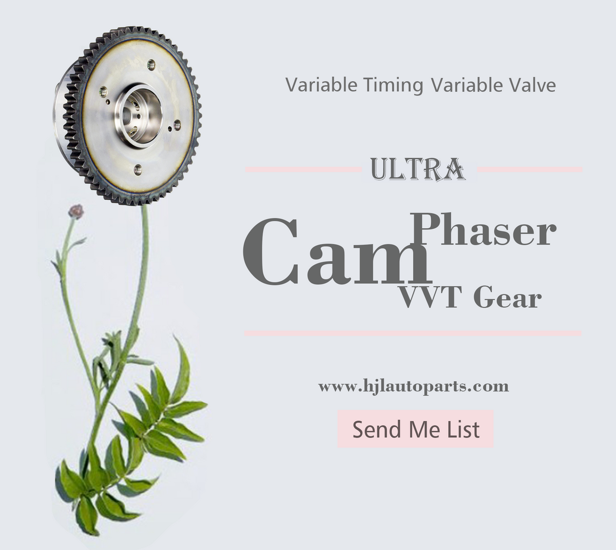 What Does CVVT Stand for in Cars & Symptoms of a Bad Variable Valve Ti ...